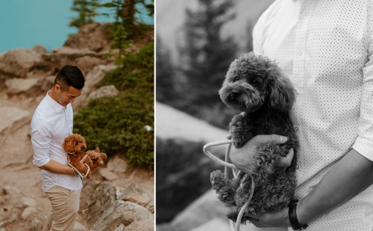 Banff Proposal Photos at Moraine Lake during sunrise